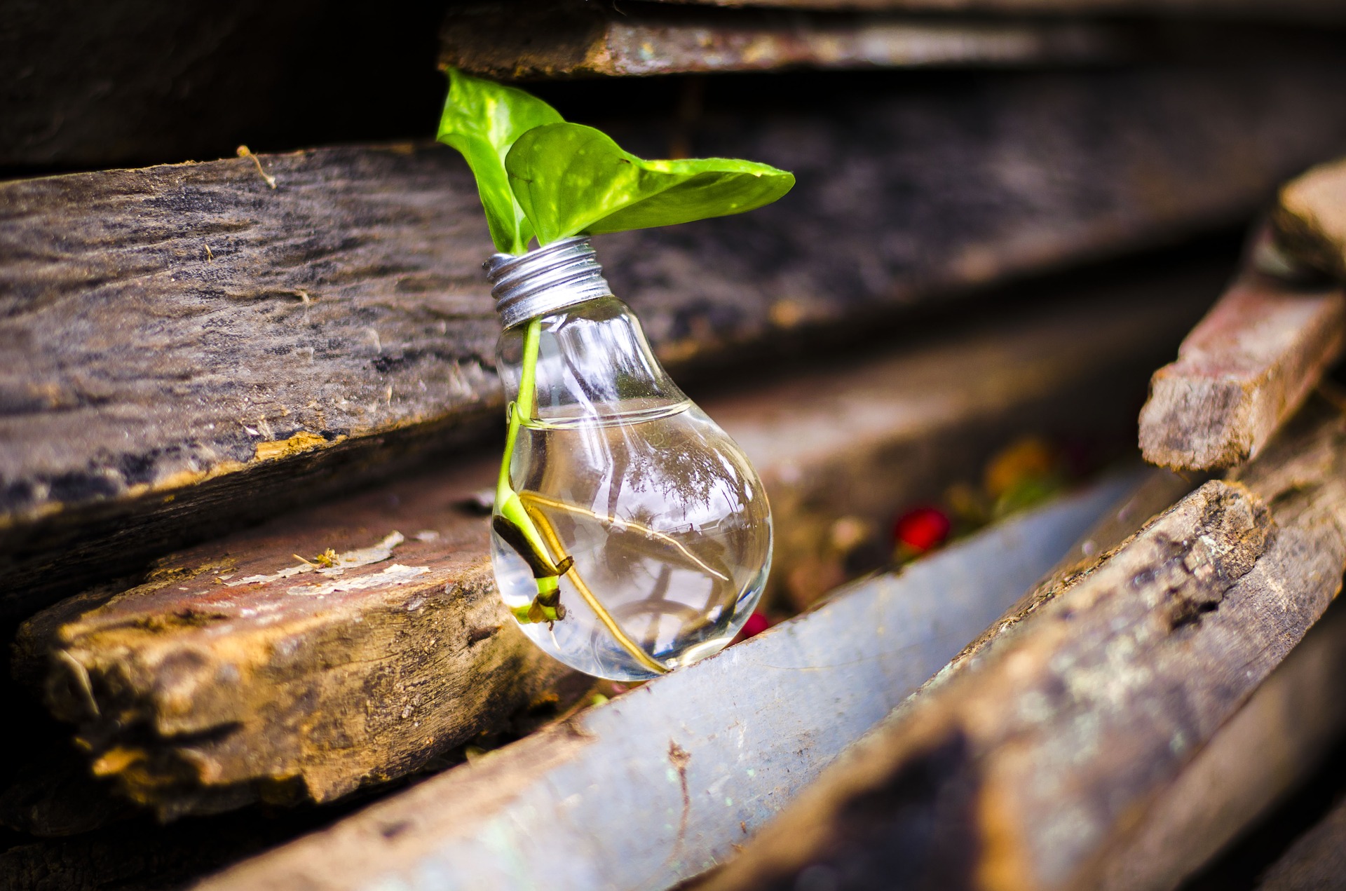 '110% Duurzaam, biologisch en klimaatneutraal!' ACM stelt regels op ... '110% Duurzaam, biologisch en klimaatneutraal!' ACM stelt regels op ...